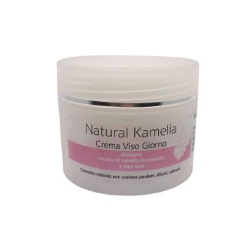 LNAge | Link Neuroscience and Healthcare